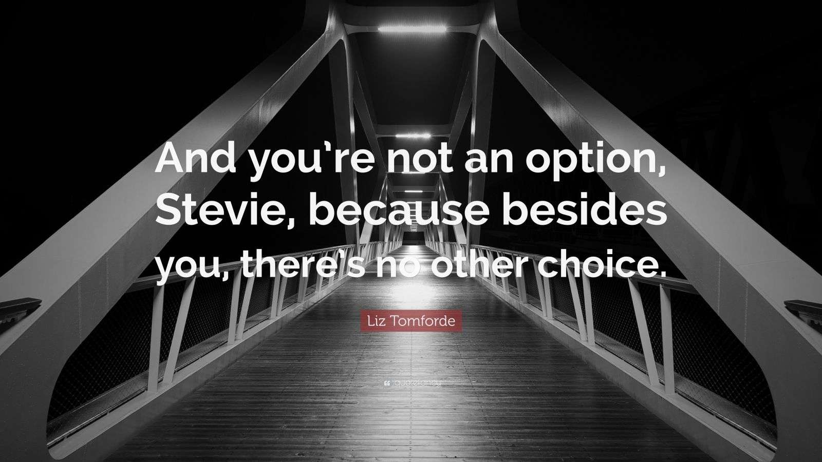 Liz Tomforde Quote: “And you’re not an option, Stevie, because besides ...