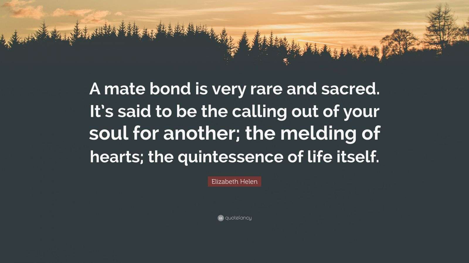 Elizabeth Helen Quote: “A mate bond is very rare and sacred. It’s said ...