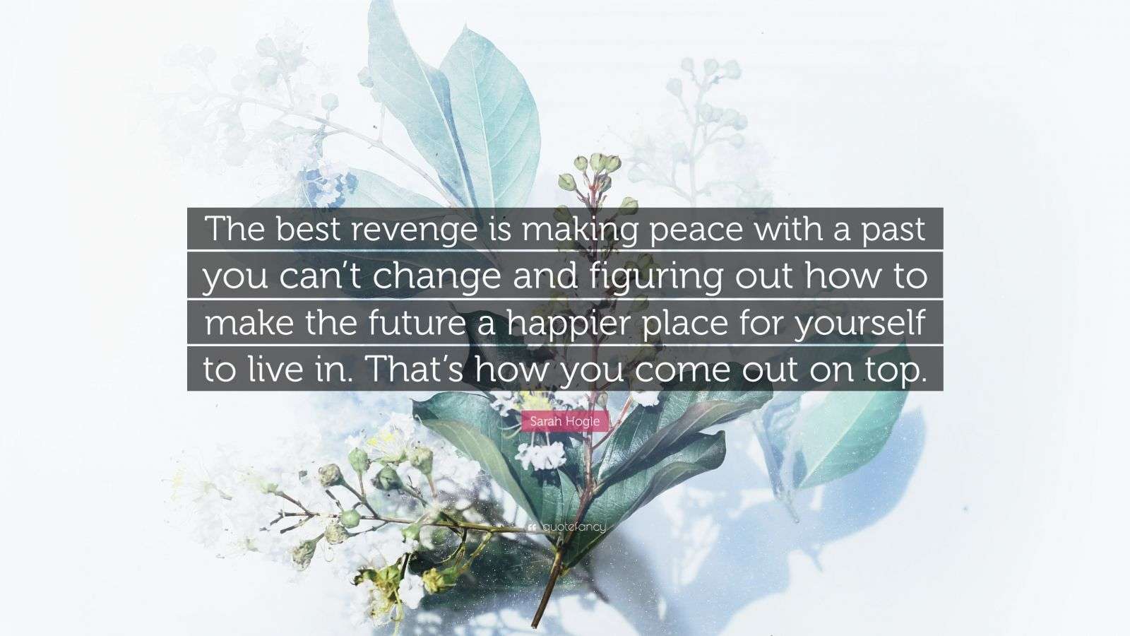 Sarah Hogle Quote: “The best revenge is making peace with a past you ...