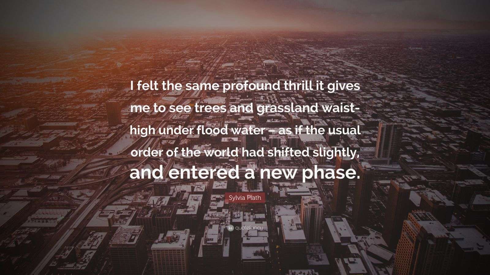Sylvia Plath Quote: “I felt the same profound thrill it gives me to see ...