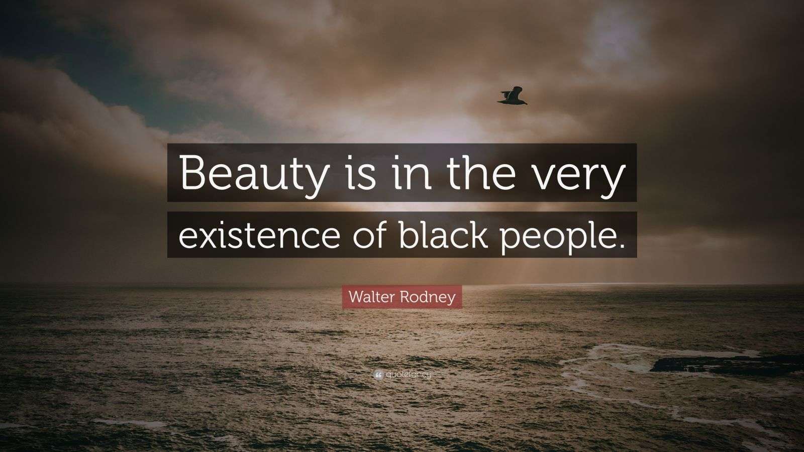 Walter Rodney Quote: “Beauty is in the very existence of black people.”