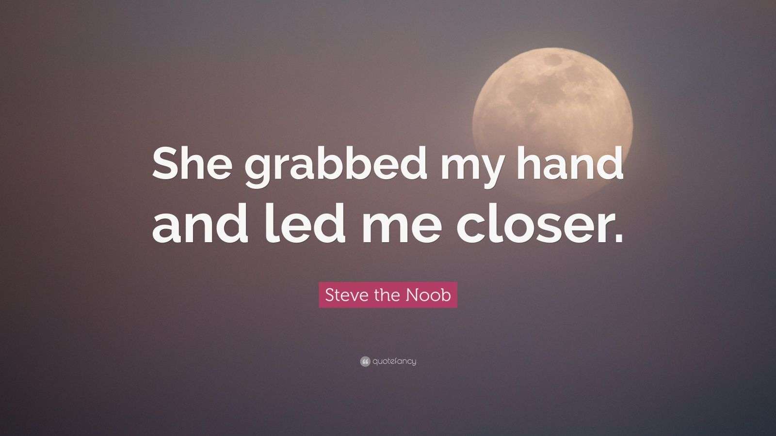 Steve the Noob Quote: “She grabbed my hand and led me closer.”