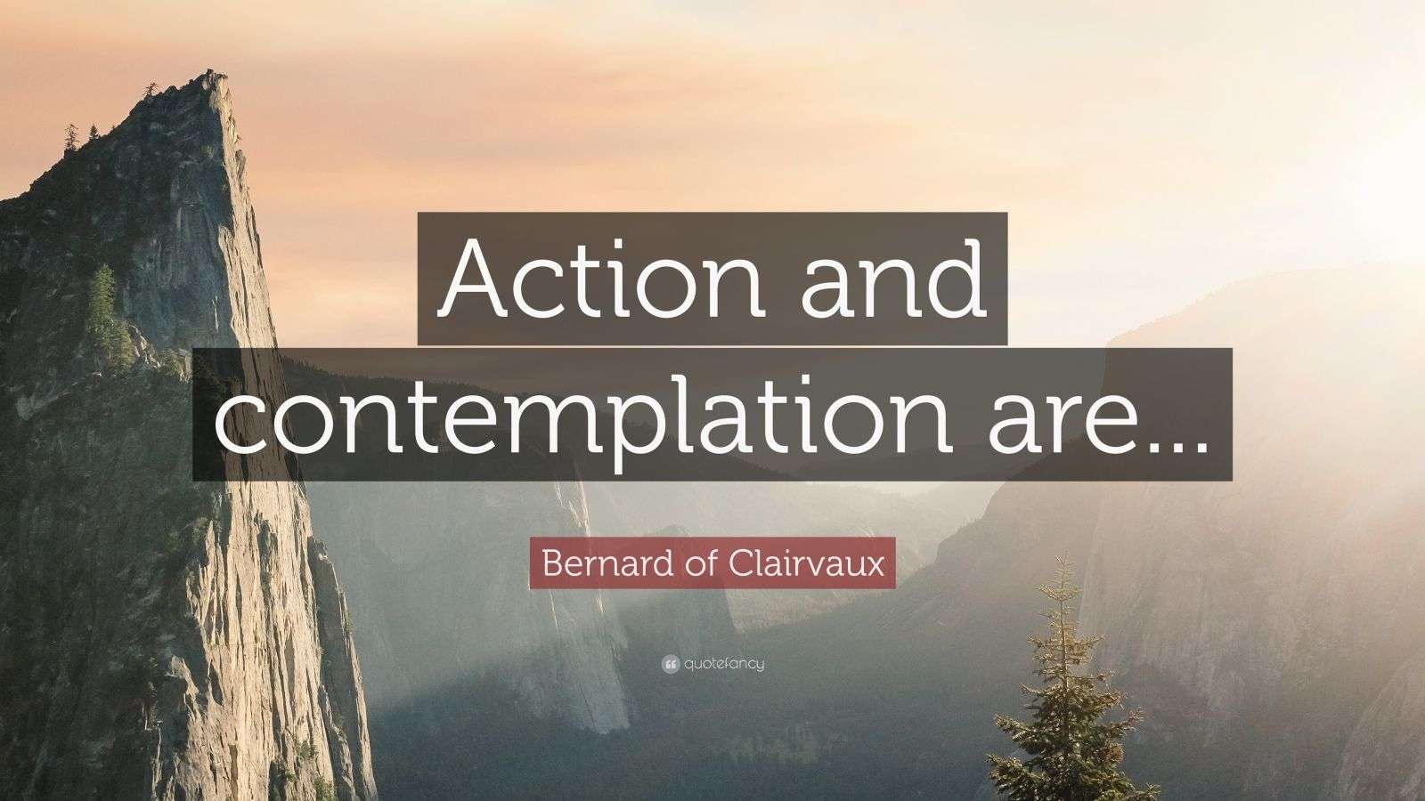Bernard of Clairvaux Quote: “Action and contemplation are...”