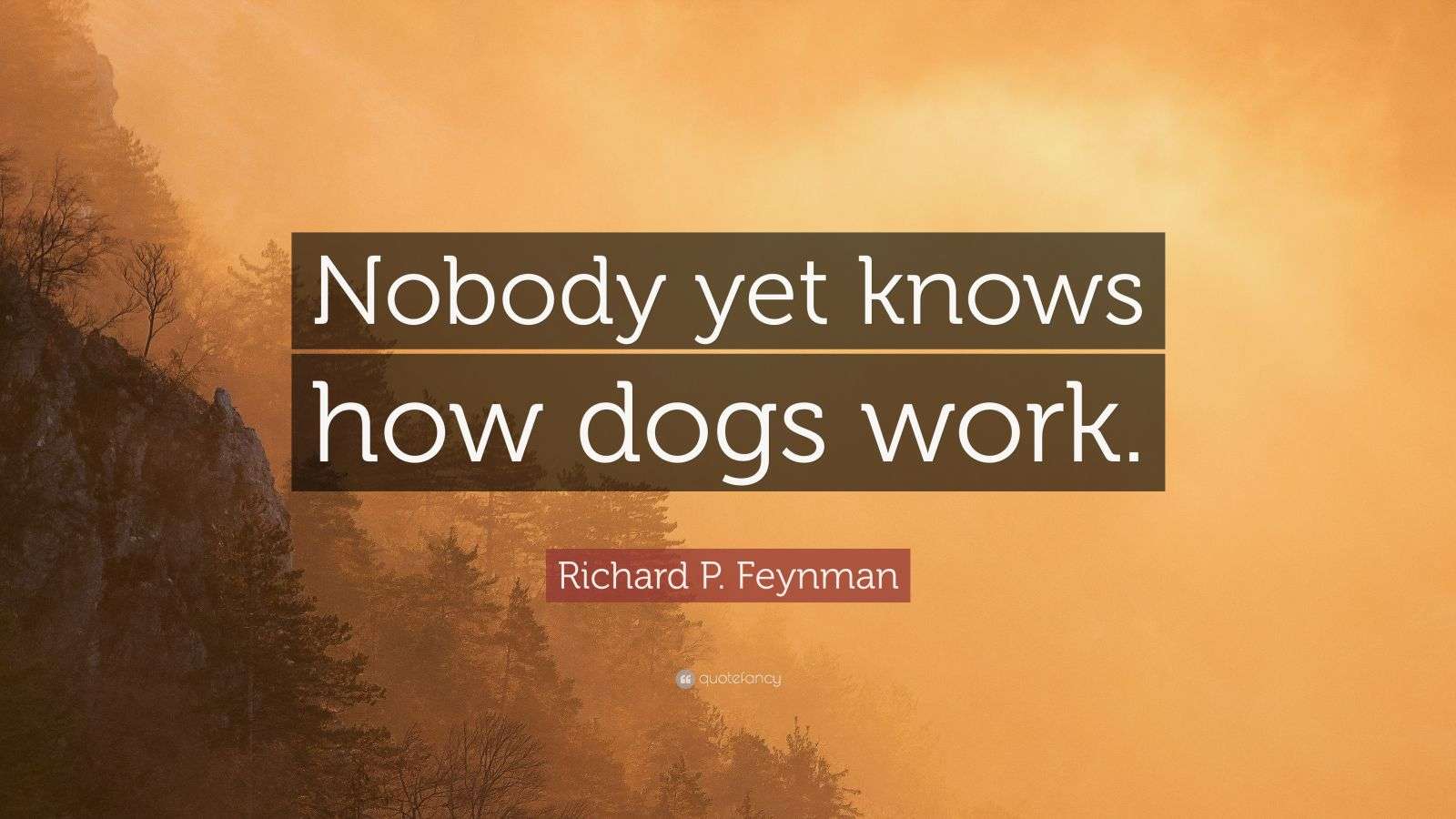 Richard P. Feynman Quote: “Nobody yet knows how dogs work.”