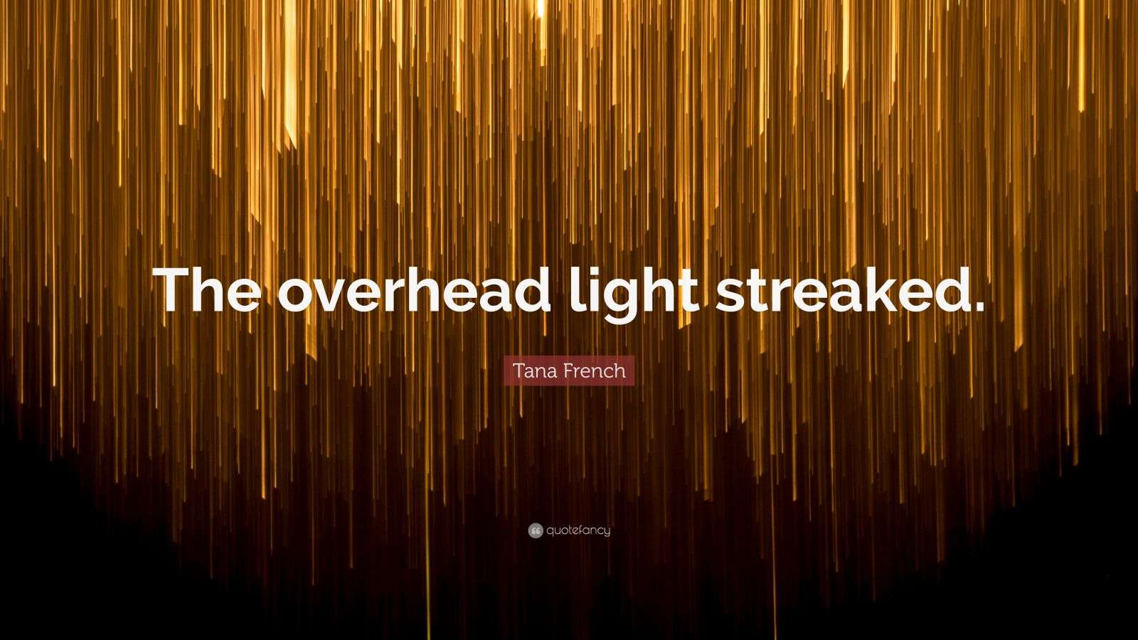 Tana French Quote: “The overhead light streaked.”
