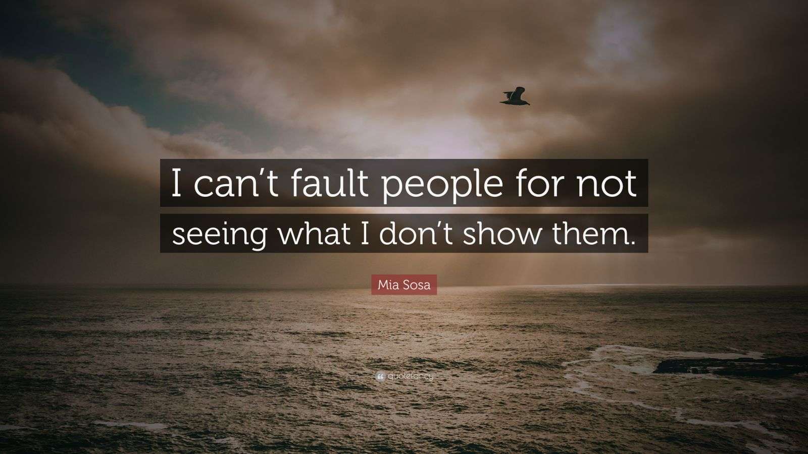 Mia Sosa Quote: “I can’t fault people for not seeing what I don’t show ...