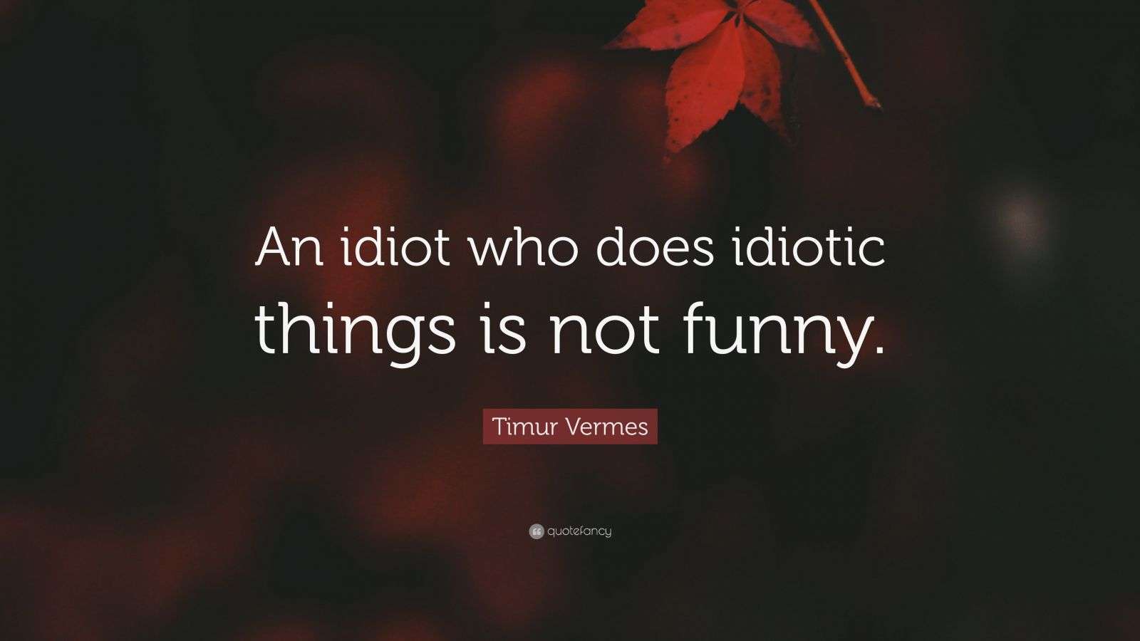 Timur Vermes Quote: “An idiot who does idiotic things is not funny.”