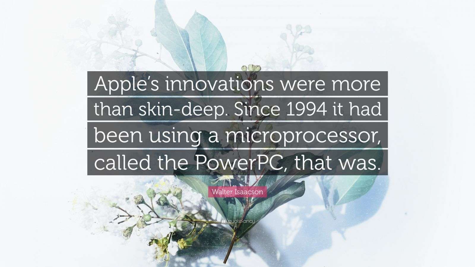 Walter Isaacson Quote: “Apple’s innovations were more than skin-deep ...