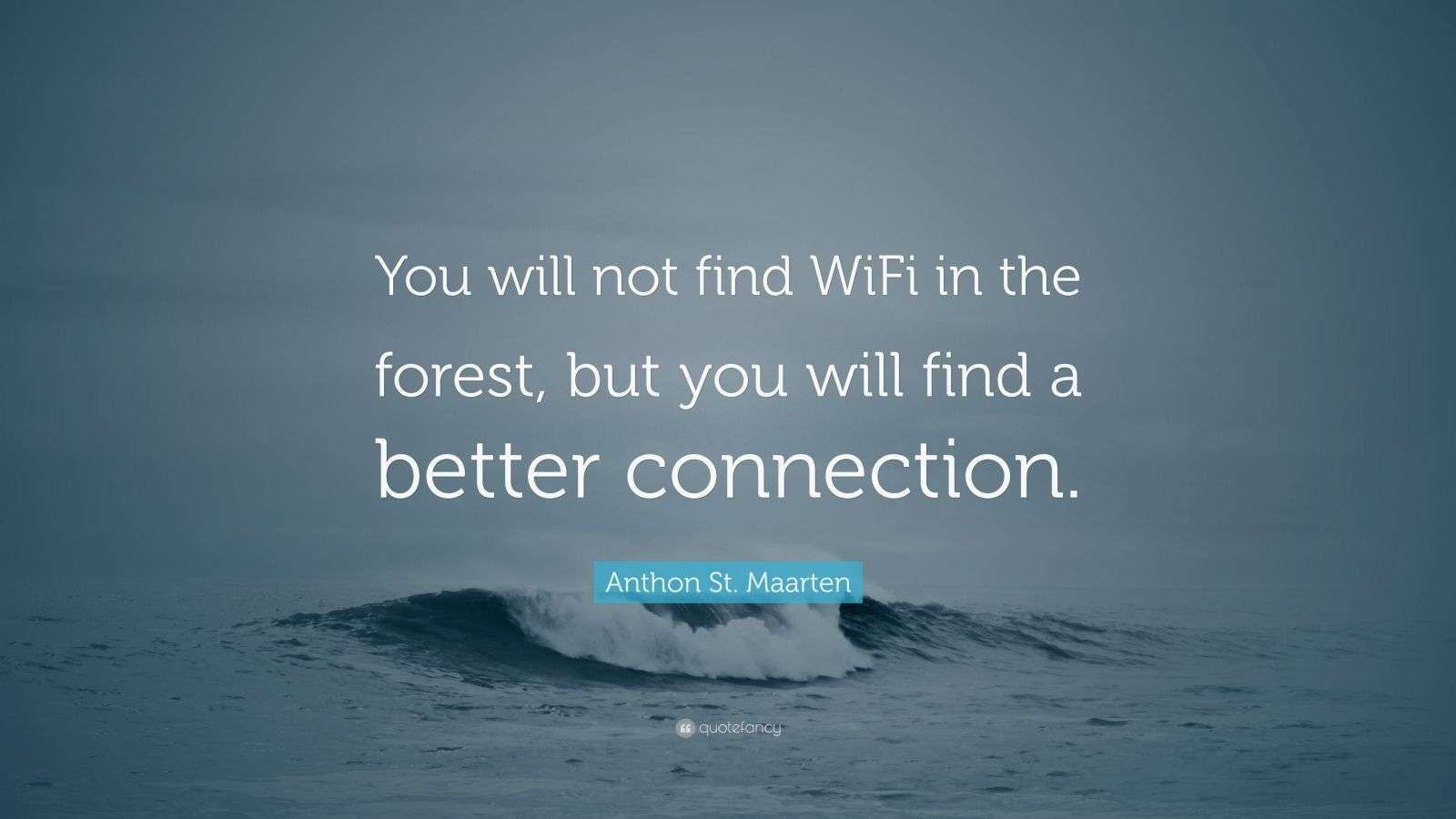 Anthon St. Maarten Quote: “You will not find WiFi in the forest, but ...