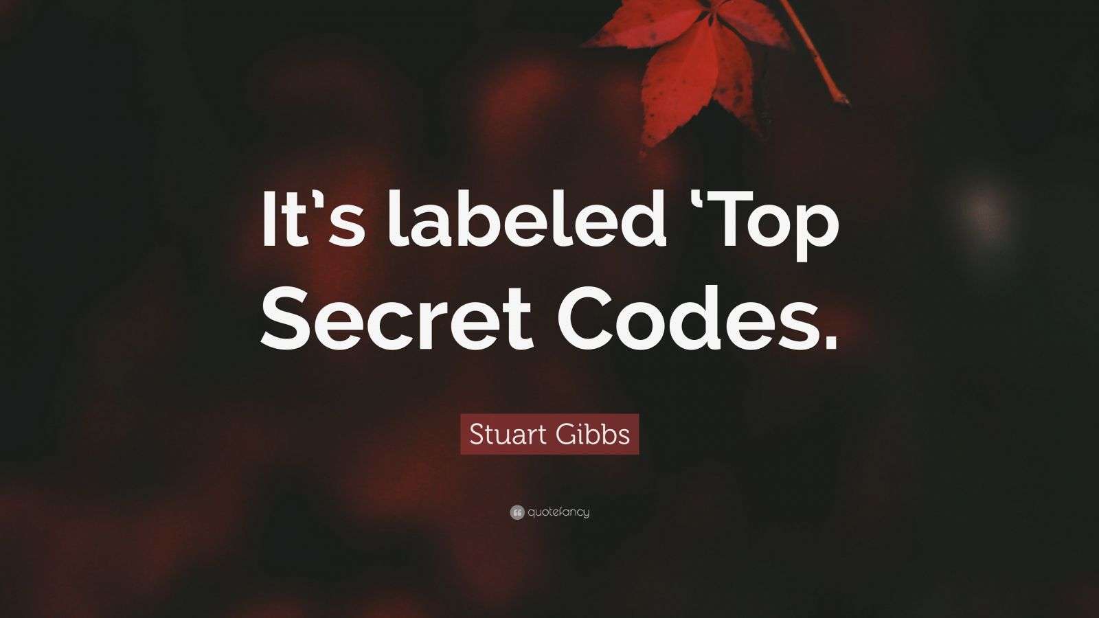 Stuart Gibbs Quote: “It’s labeled ‘Top Secret Codes.”