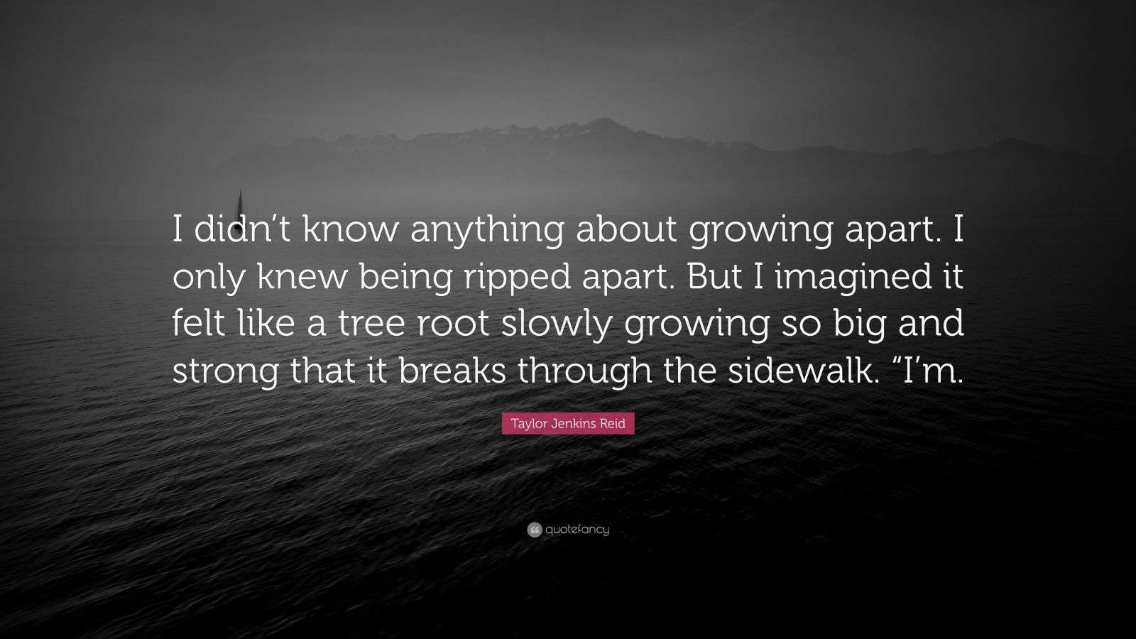 Taylor Jenkins Reid Quote: “I didn’t know anything about growing apart ...