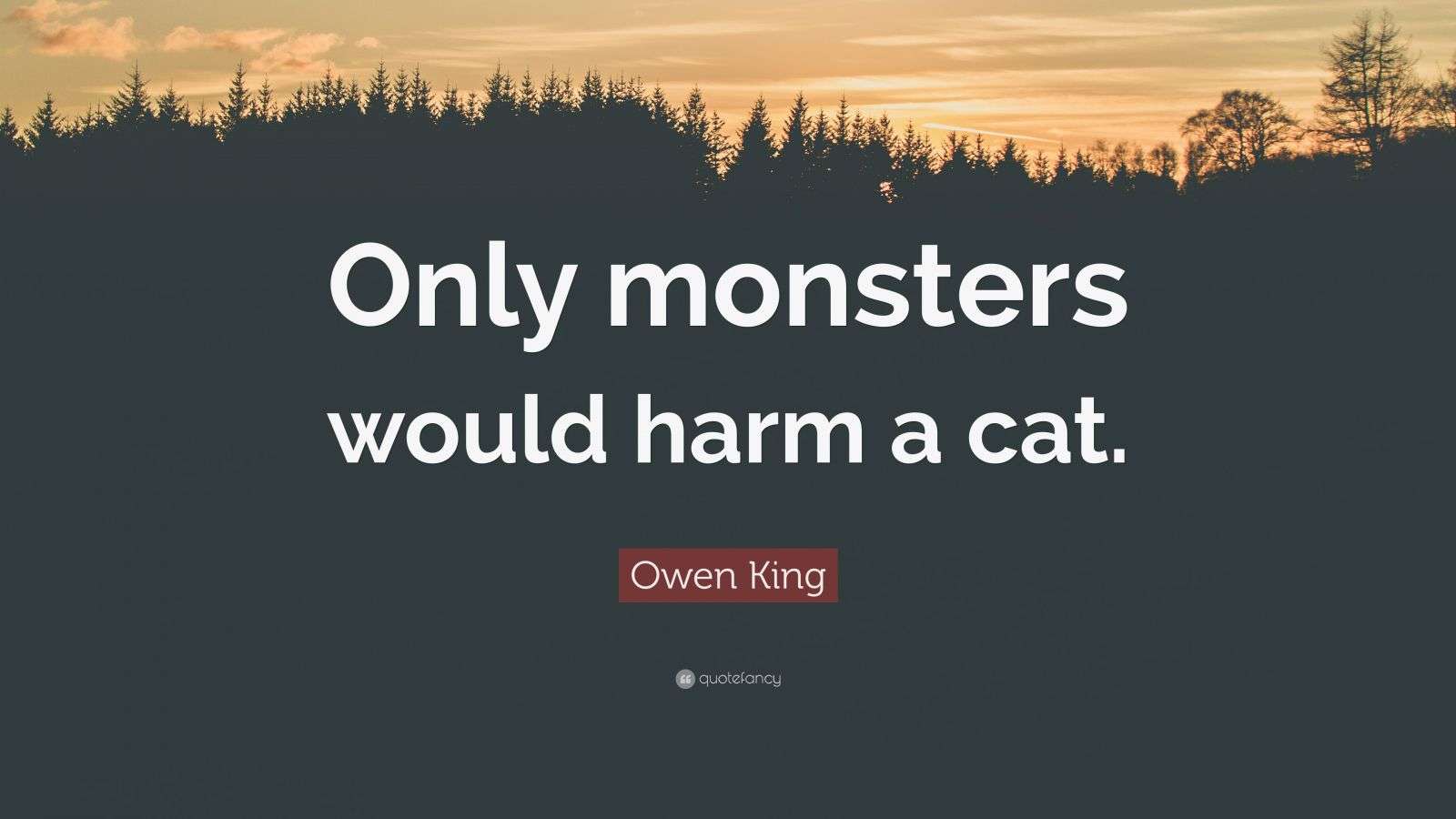 Top 2 Owen King Quotes (2026 Update) - QuoteFancy