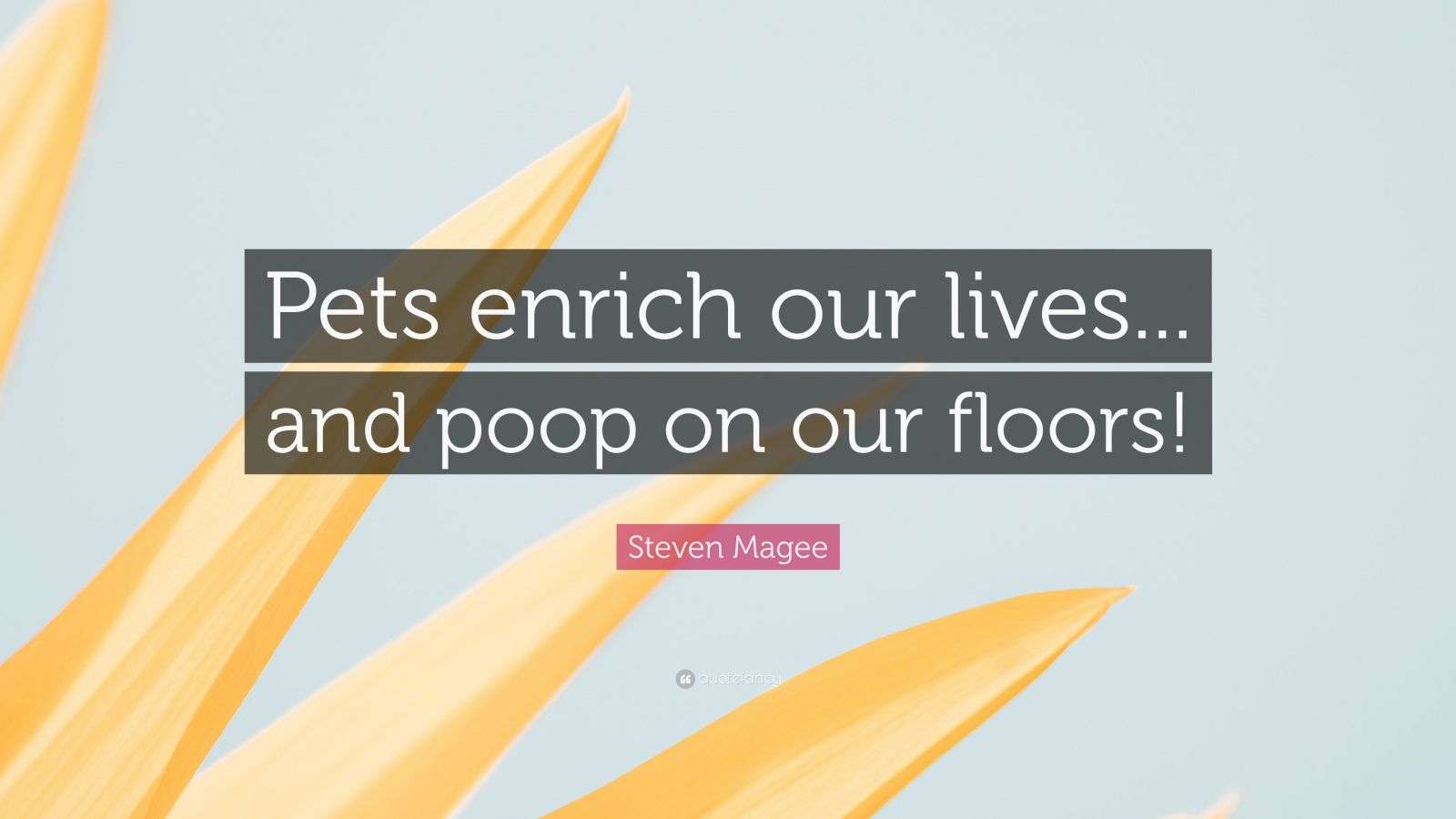 Steven Magee Quote: “Pets enrich our lives... and poop on our floors!”