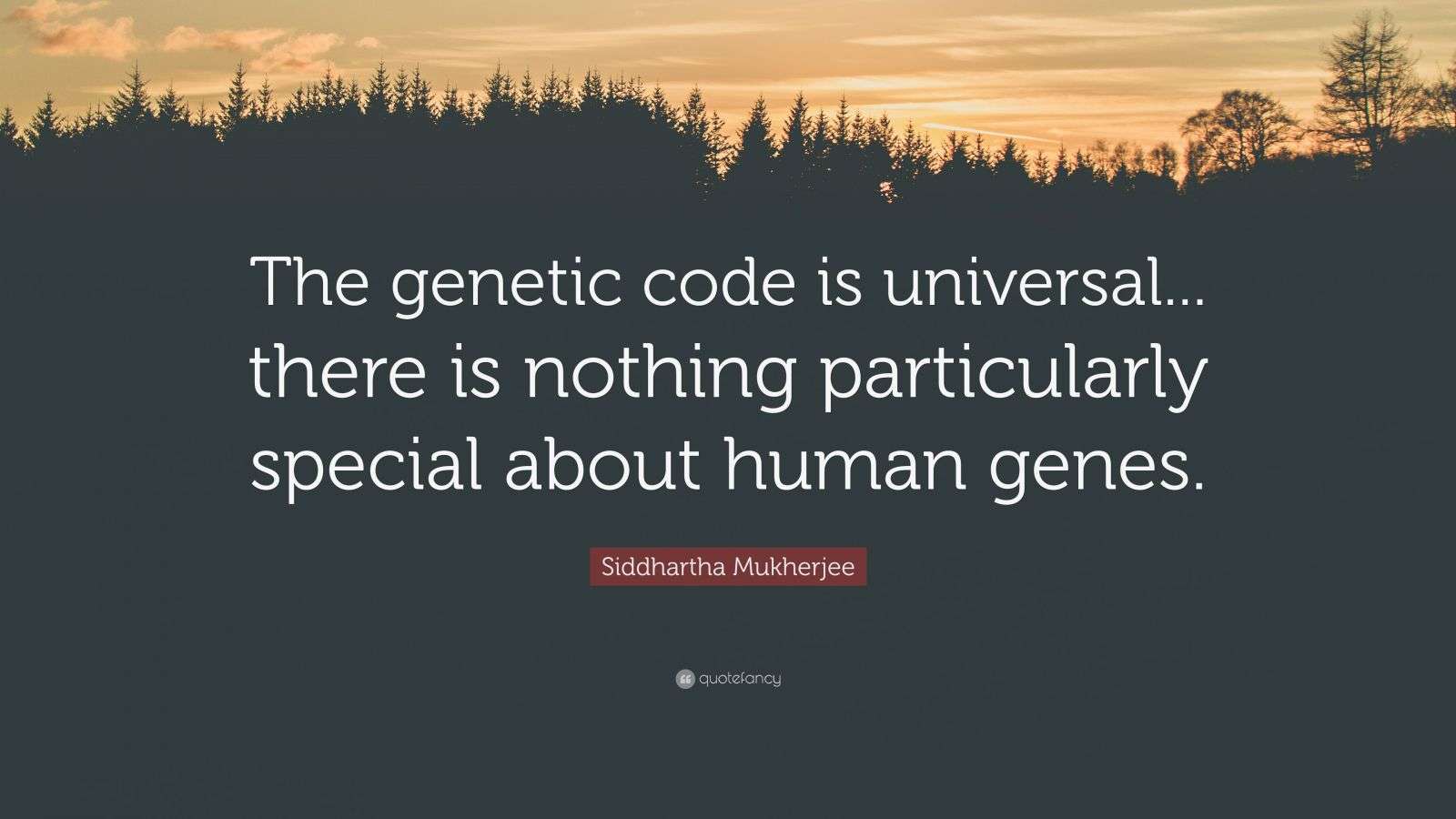 Siddhartha Mukherjee Quote: “The genetic code is universal... there is ...