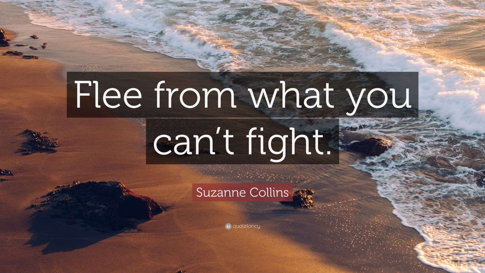 Suzanne Collins Quote: “Flee from what you can’t fight.”