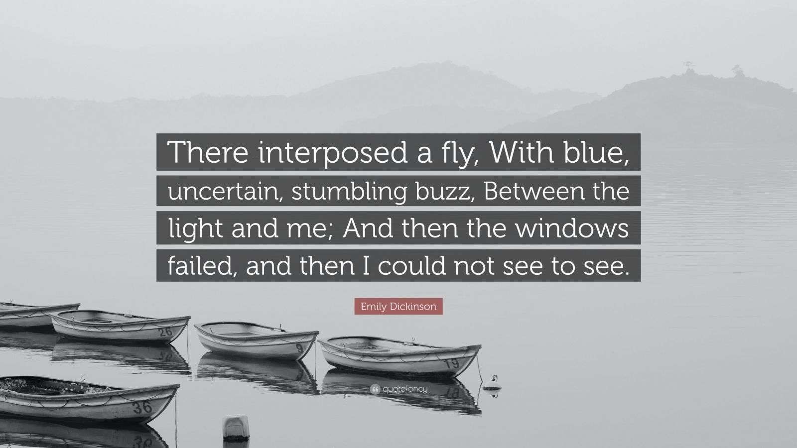 Emily Dickinson Quote: “There interposed a fly, With blue, uncertain ...