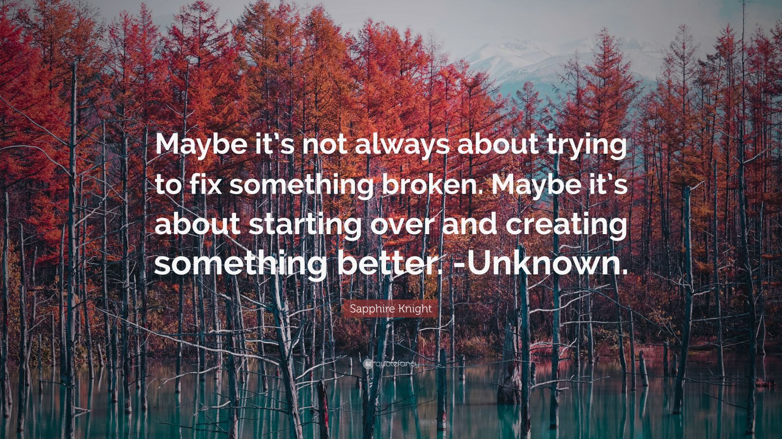 Sapphire Knight Quote: “Maybe it’s not always about trying to fix ...