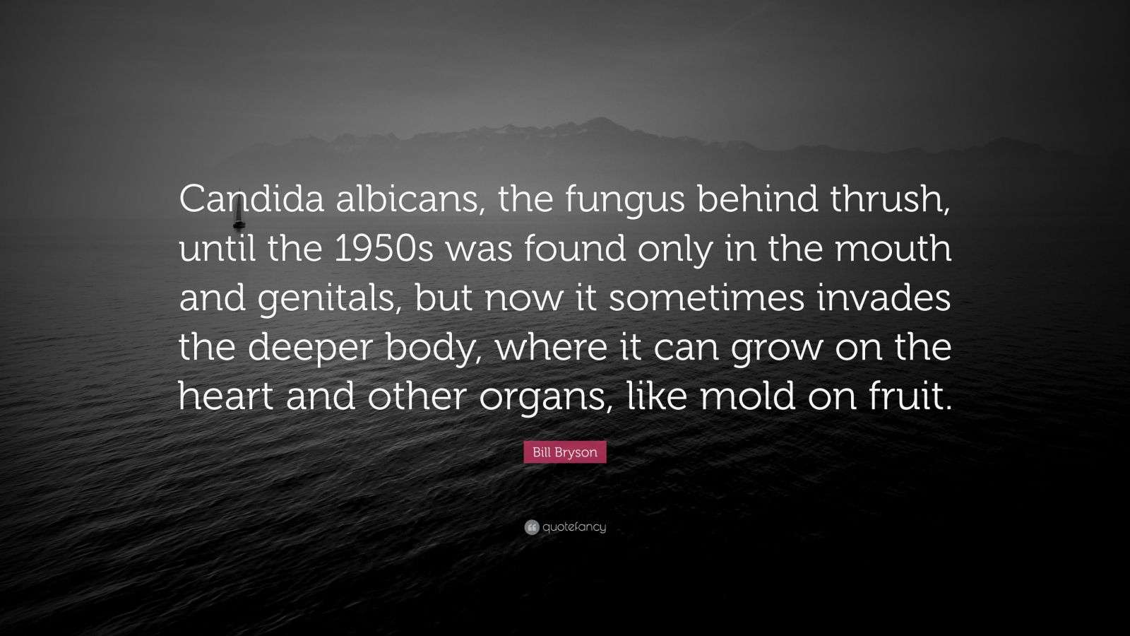 Bill Bryson Quote: “Candida albicans, the fungus behind thrush, until ...