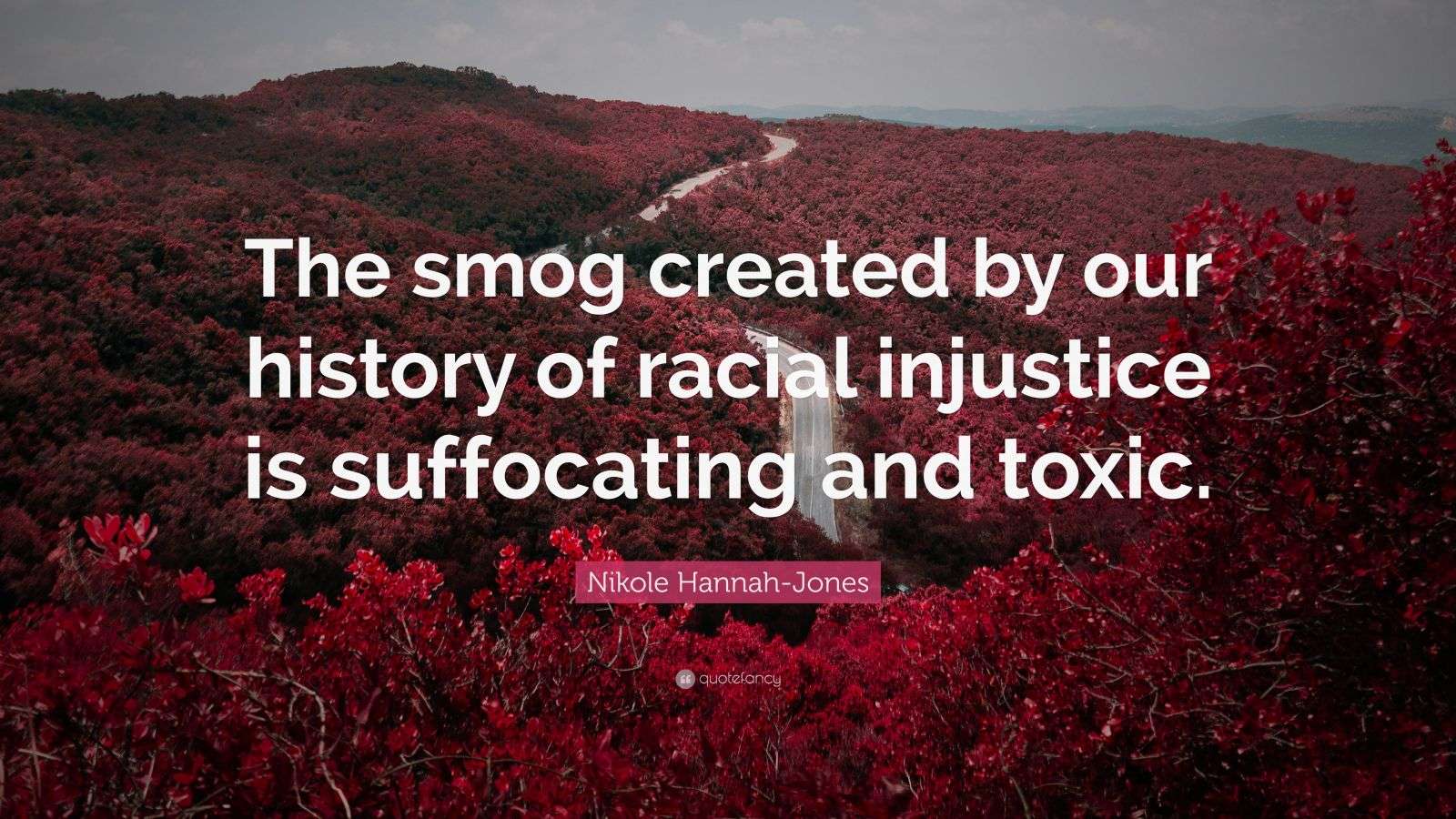Nikole Hannah-Jones Quote: “The smog created by our history of racial ...