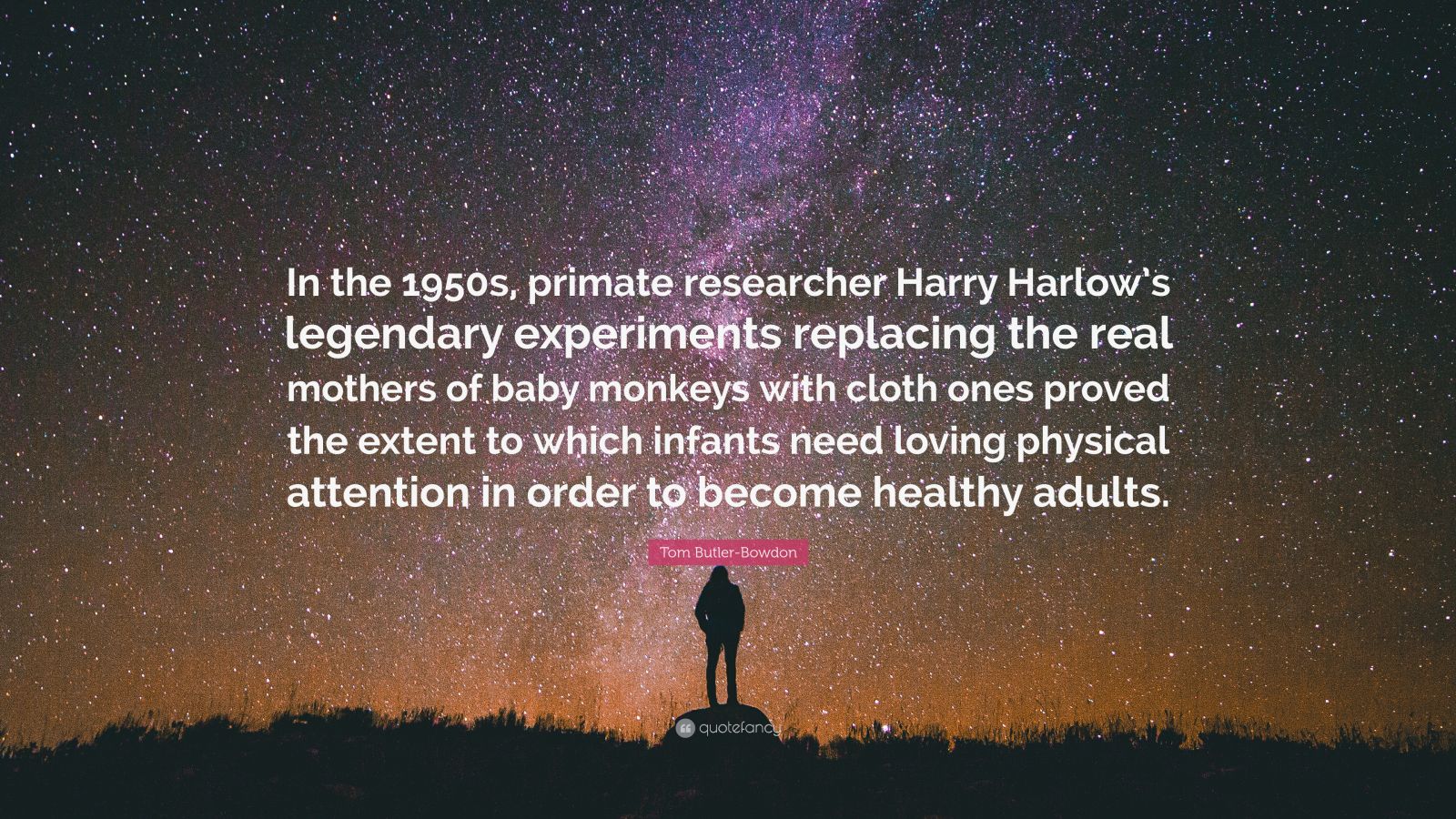 Tom Butler-Bowdon Quote: “In the 1950s, primate researcher Harry Harlow’s legendary experiments ...