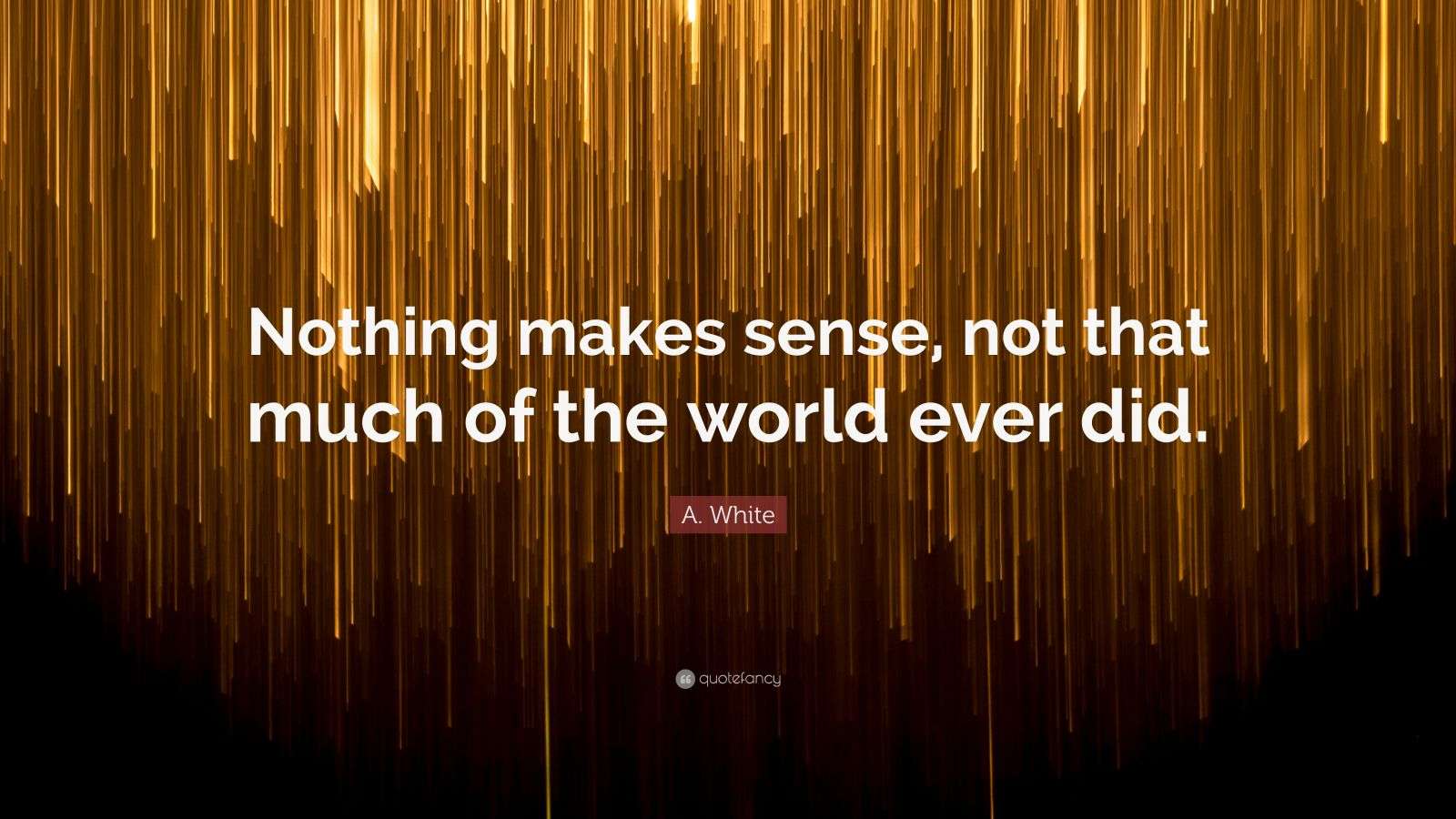 A. White Quote: “Nothing makes sense, not that much of the world ever did.”