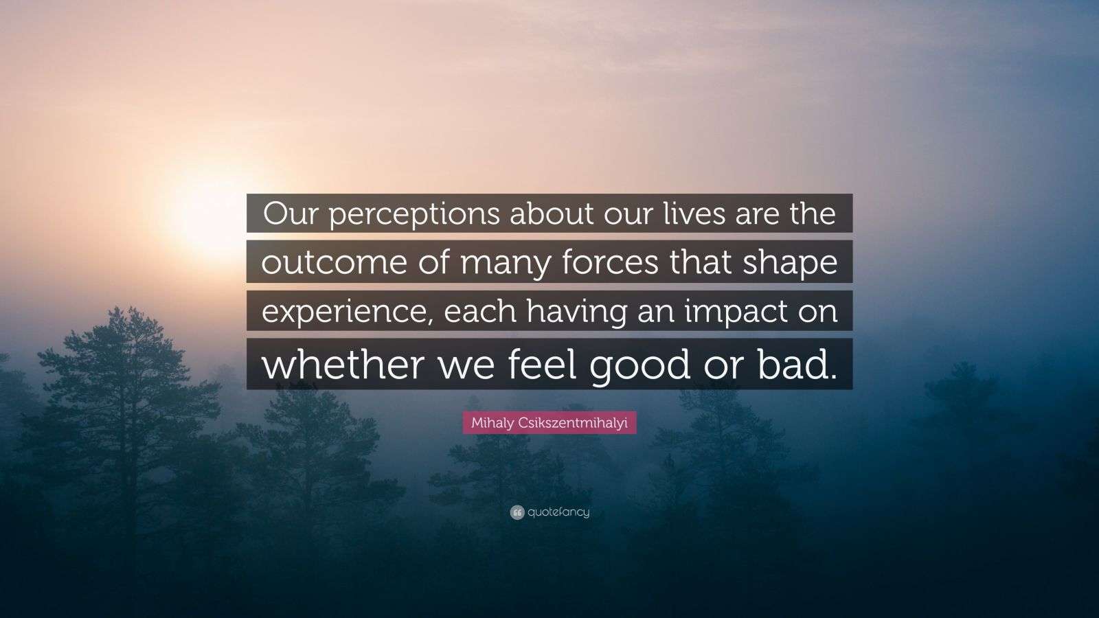 Mihaly Csikszentmihalyi Quote: “Our perceptions about our lives are the ...