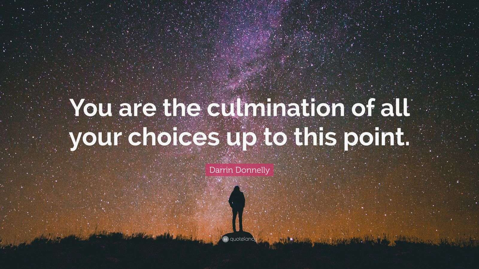 Darrin Donnelly Quote: “You are the culmination of all your choices up ...