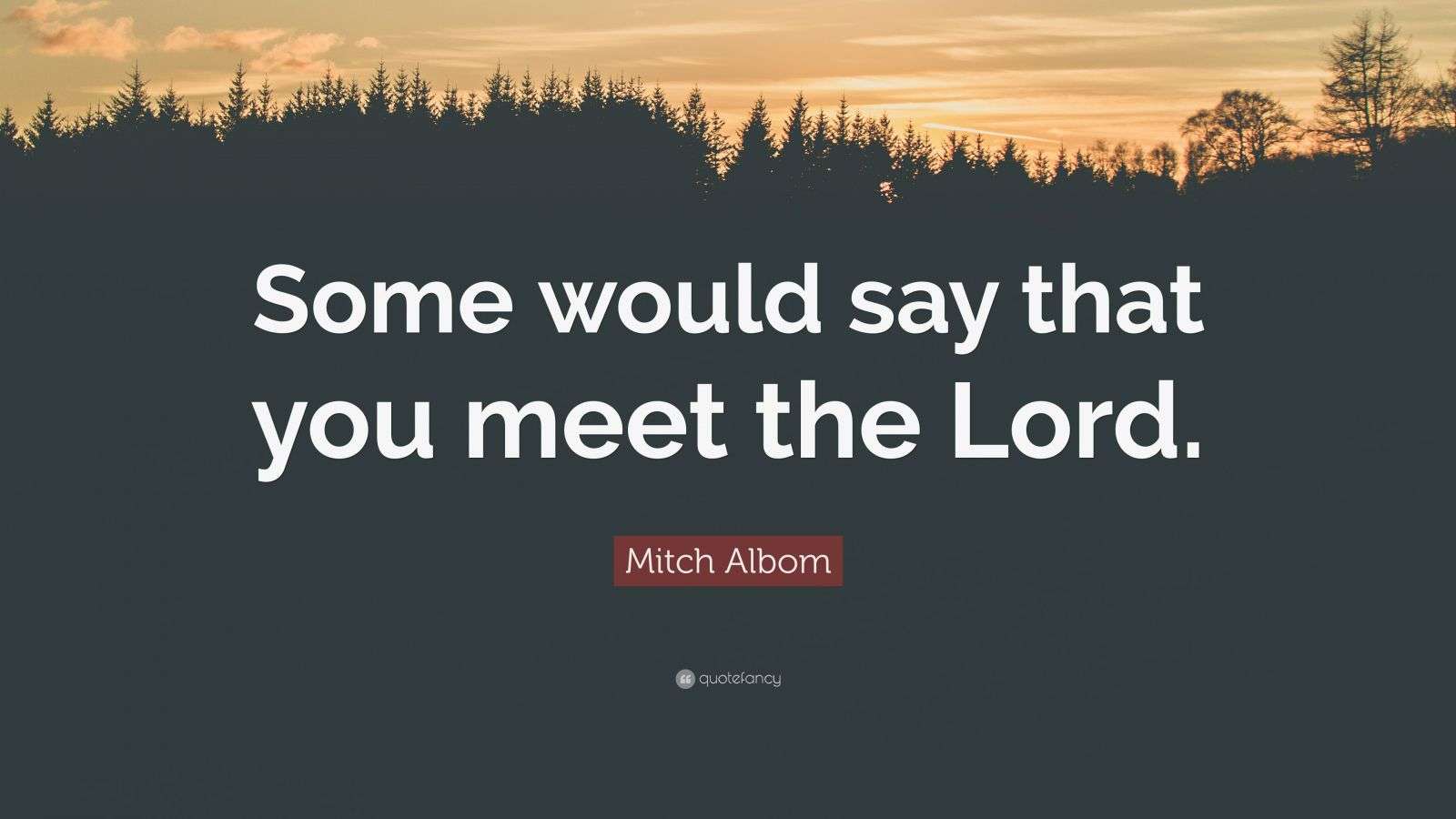 Mitch Albom Quote: “Some would say that you meet the Lord.”