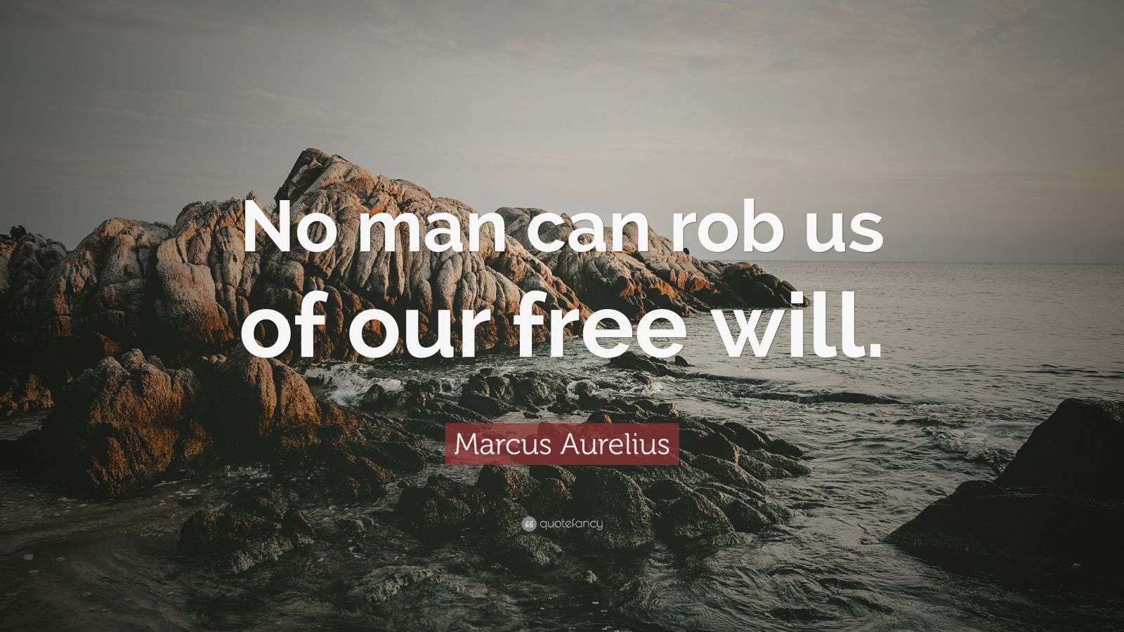 Marcus Aurelius Quote: “No man can rob us of our free will.”