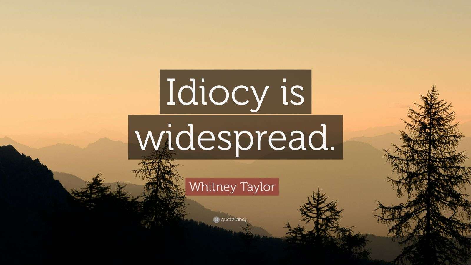 Whitney Taylor Quote: “Idiocy is widespread.”