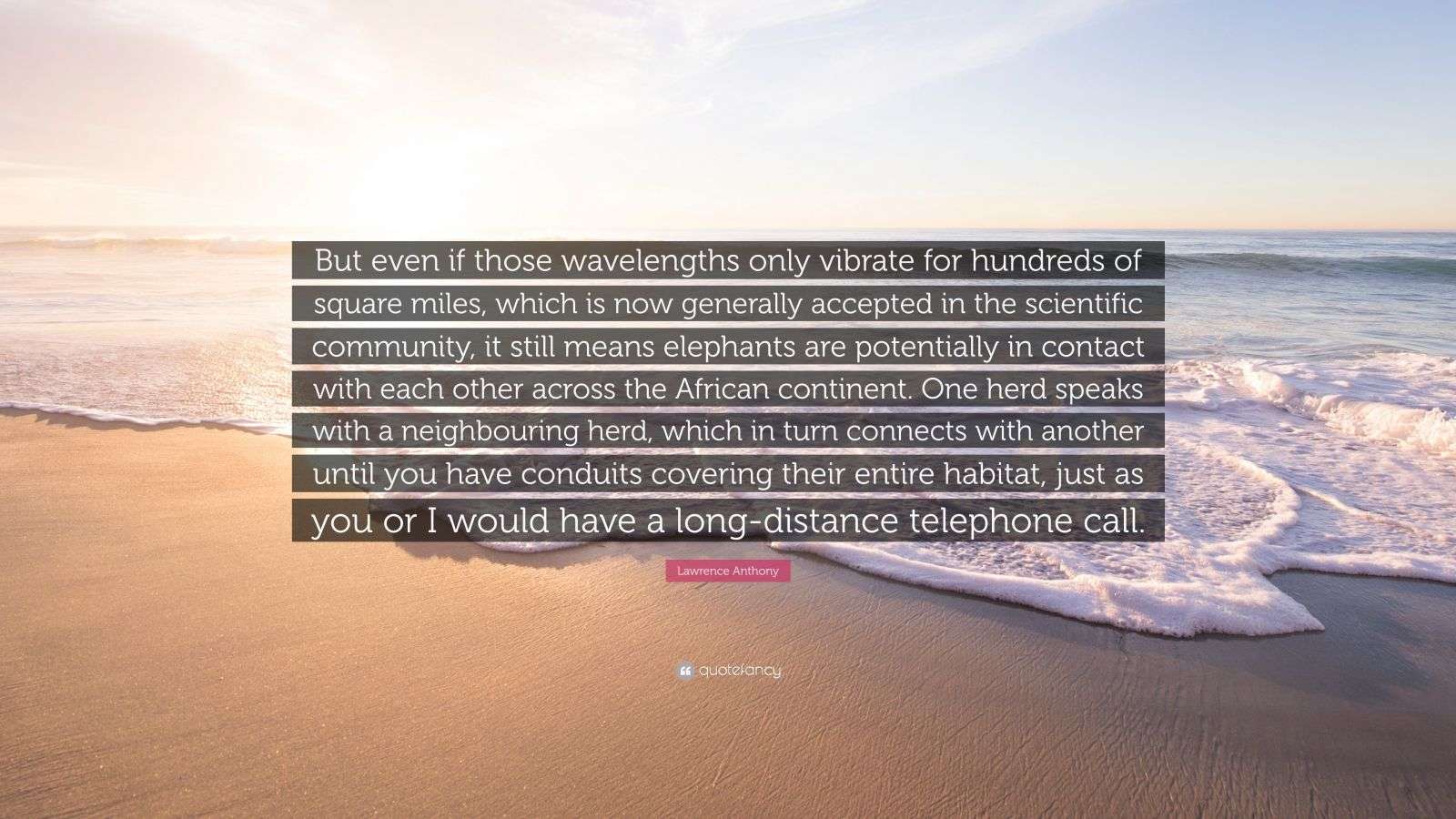 Lawrence Anthony Quote: “But even if those wavelengths only vibrate for ...
