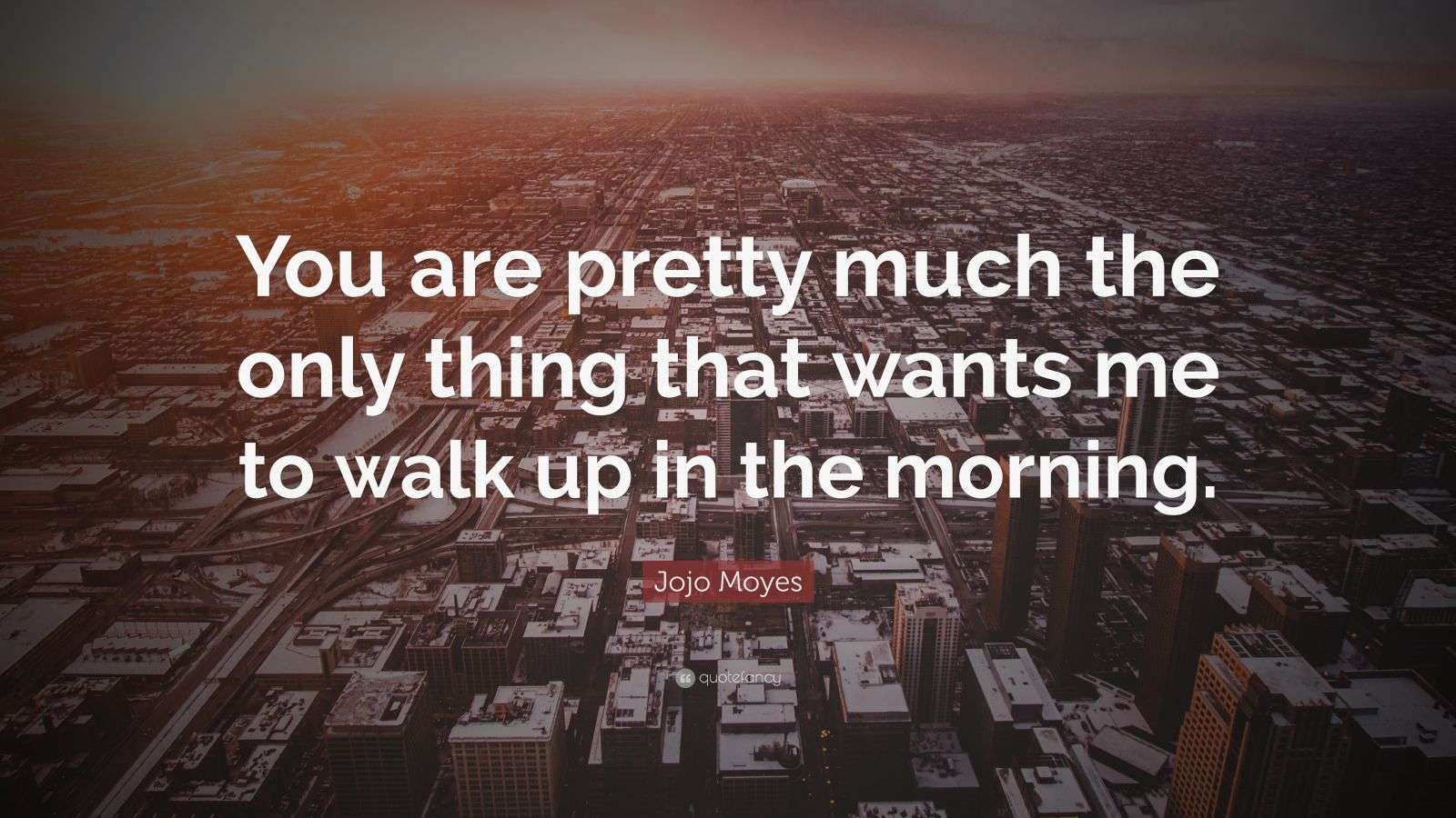 Jojo Moyes Quote: “You are pretty much the only thing that wants me to walk up in the morning.”