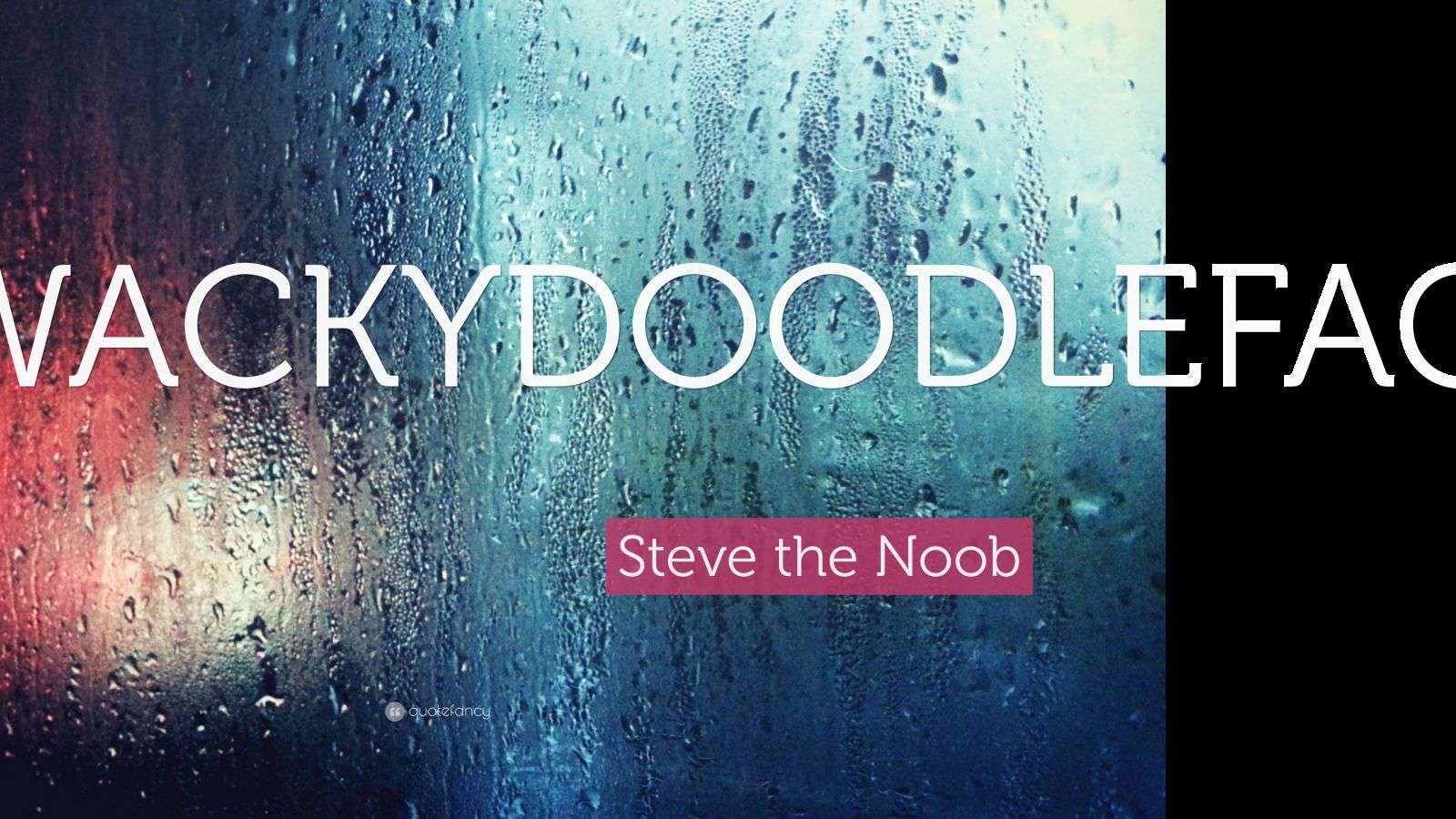 Steve the Noob Quote: “WACKYDOODLEFACE5.”