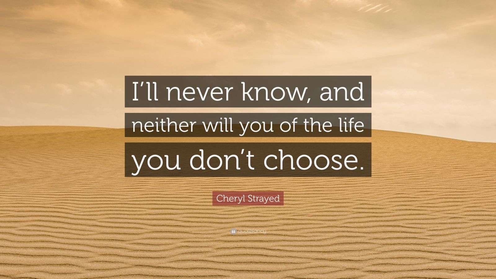 Cheryl Strayed Quote: “I’ll never know, and neither will you of the ...