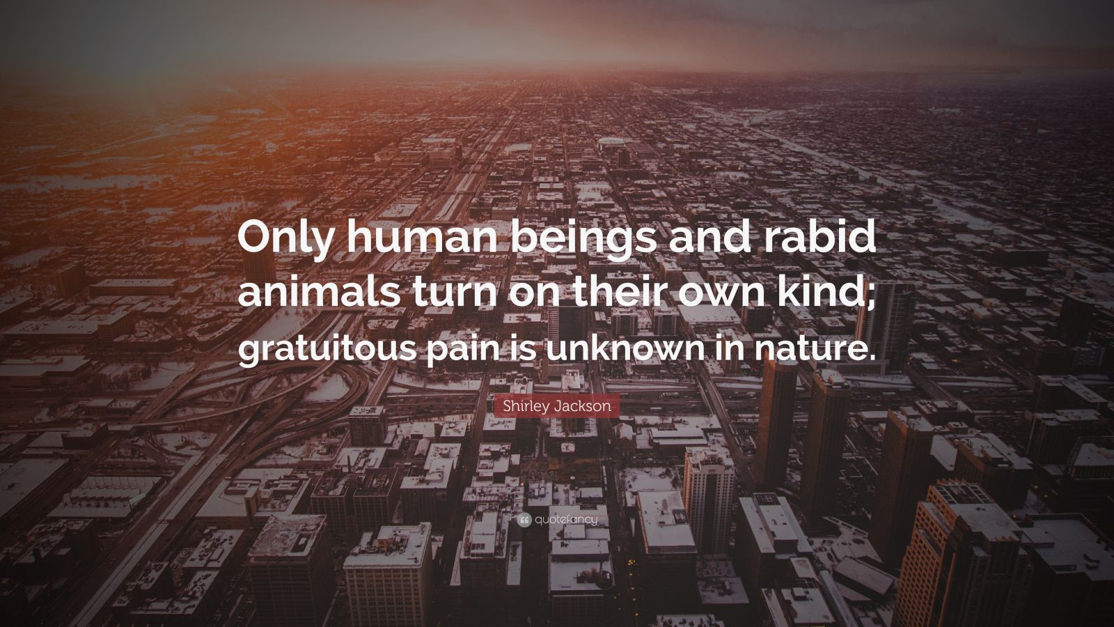 Shirley Jackson Quote: “Only human beings and rabid animals turn on ...