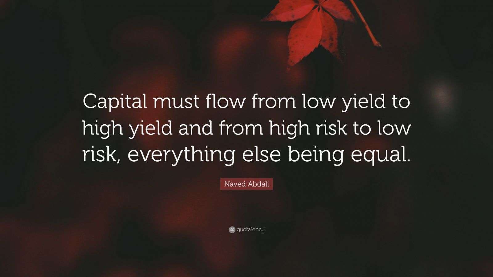 Naved Abdali Quote: “Capital must flow from low yield to high yield and ...