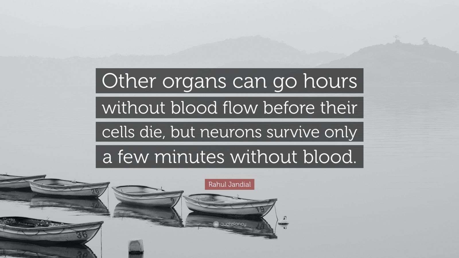 Rahul Jandial Quote: “Other organs can go hours without blood flow ...