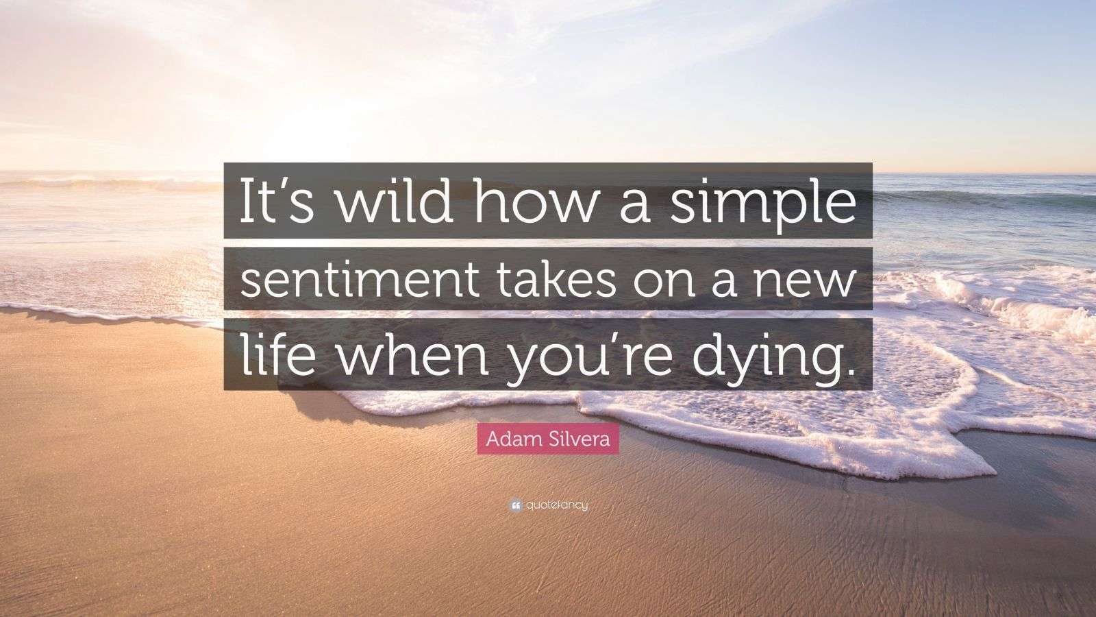 Adam Silvera Quote: “It’s wild how a simple sentiment takes on a new ...