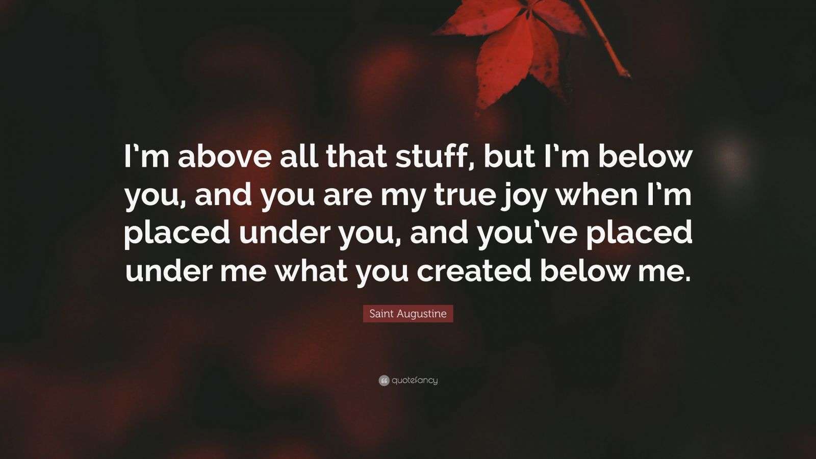 Saint Augustine Quote: “I’m above all that stuff, but I’m below you ...