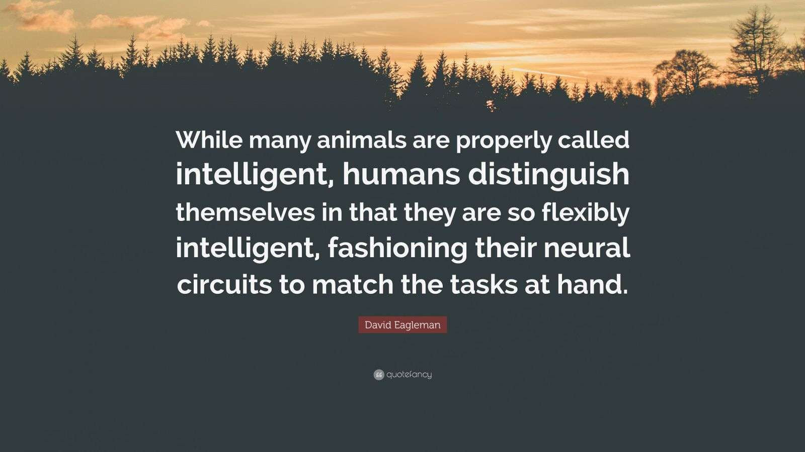 David Eagleman Quote: “While many animals are properly called ...
