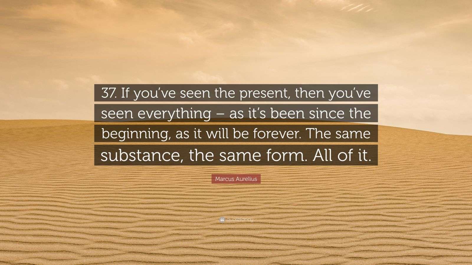 Marcus Aurelius Quote: “37. If you’ve seen the present, then you’ve ...