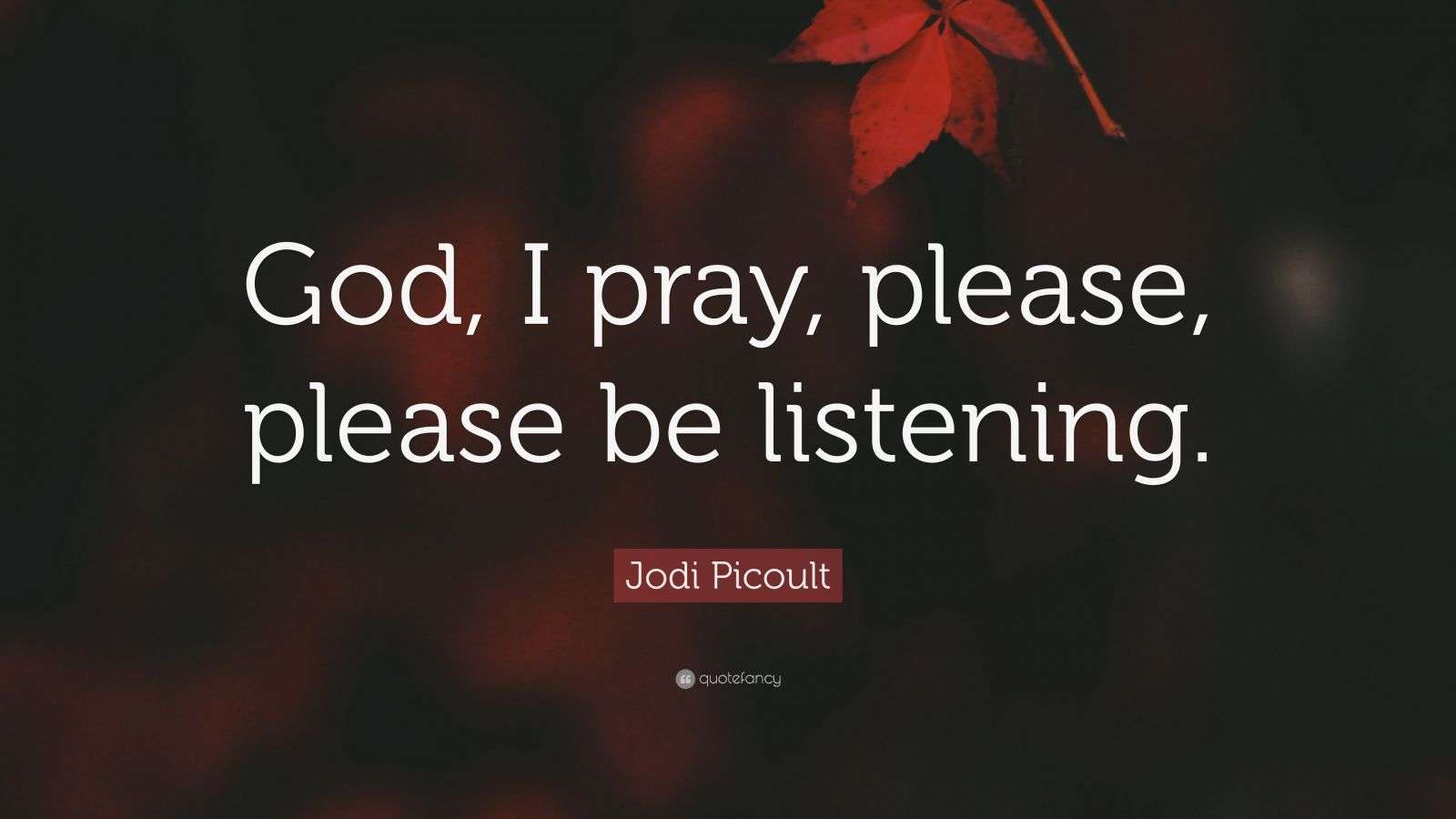 Jodi Picoult Quote: “God, I pray, please, please be listening.”