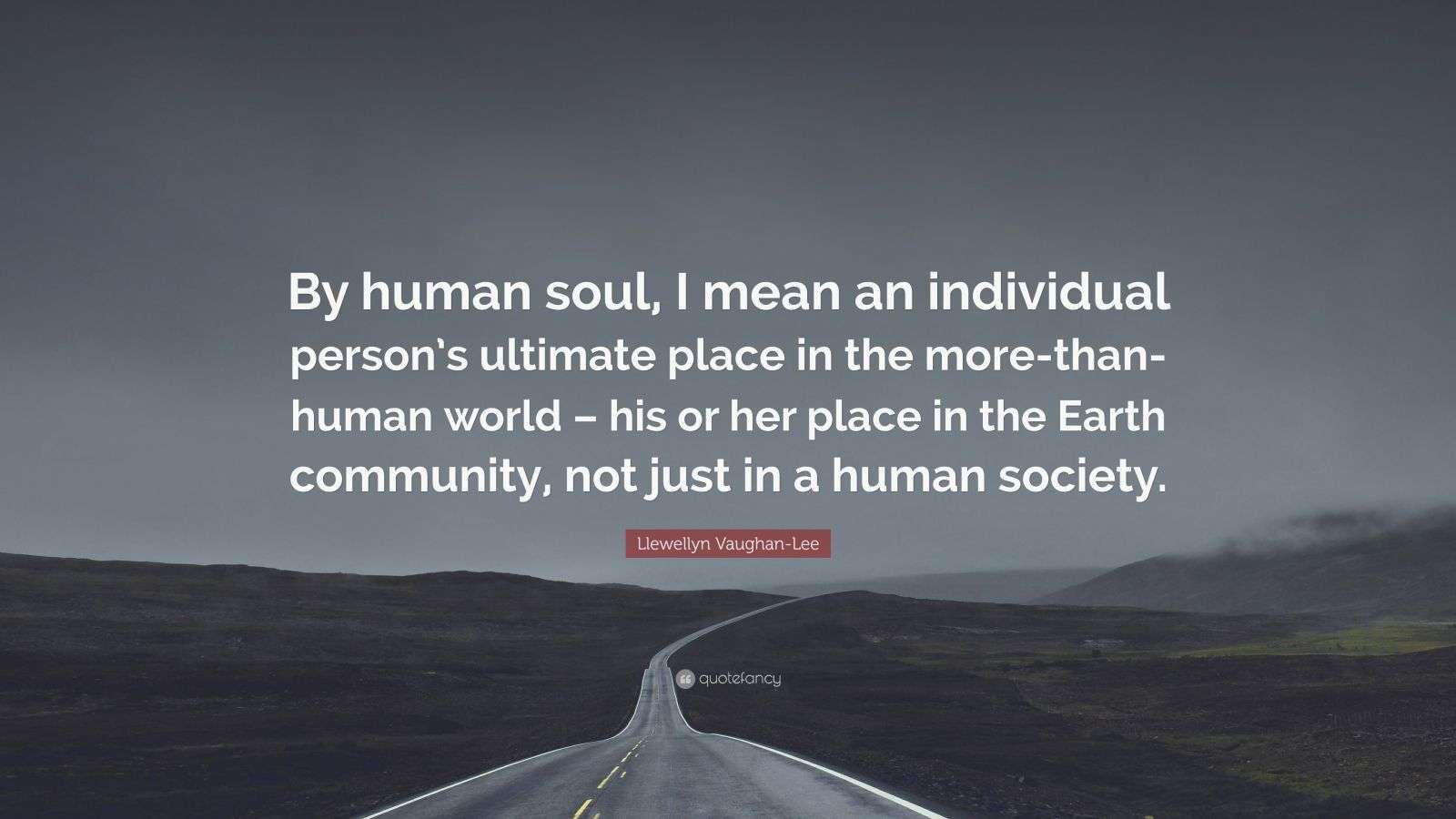 Llewellyn Vaughan-Lee Quote: “By human soul, I mean an individual ...