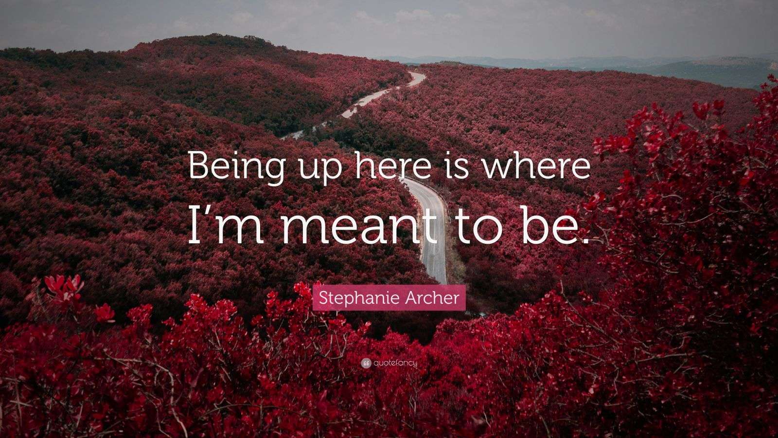 Stephanie Archer Quote: “Being up here is where I’m meant to be.”