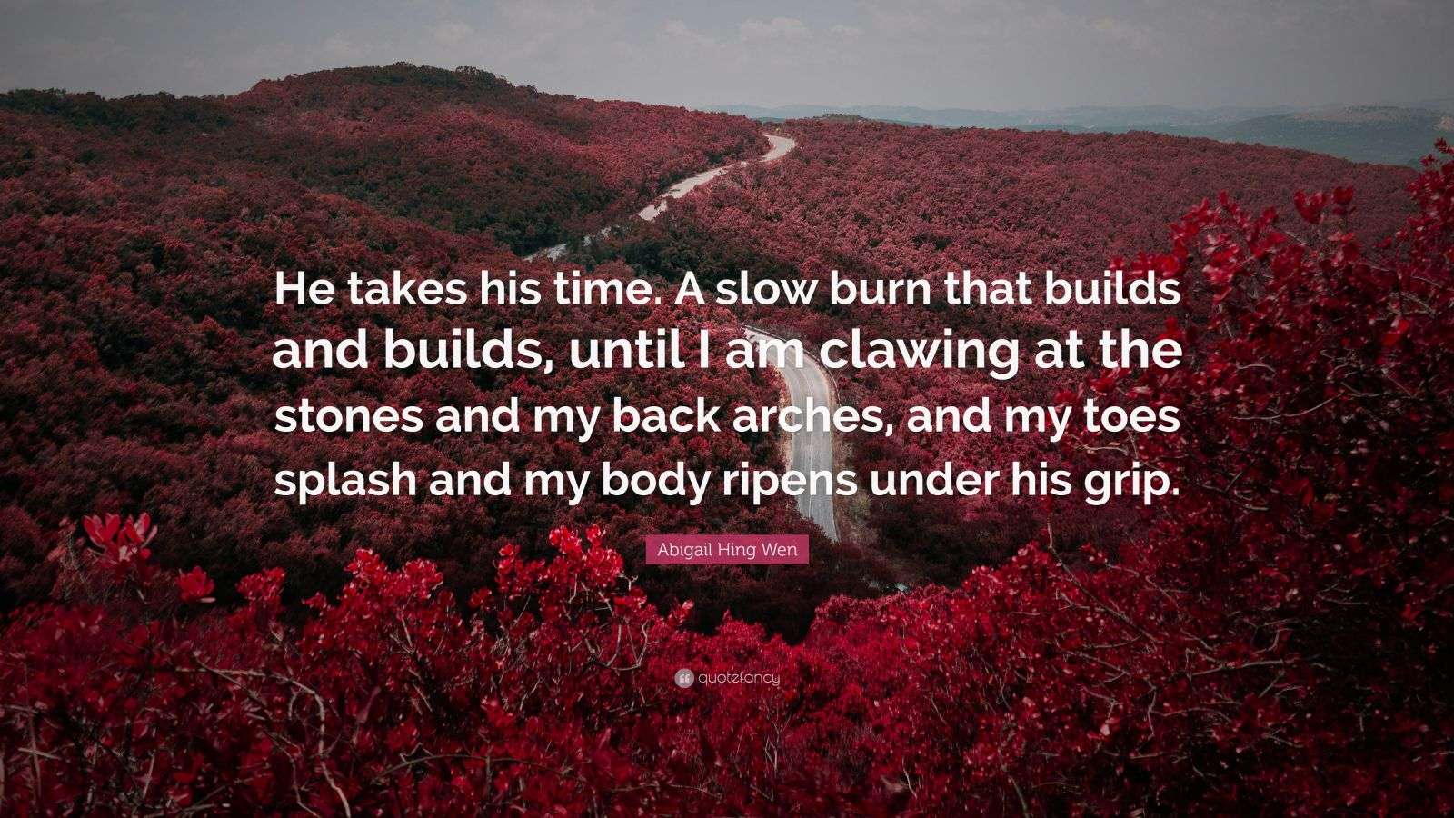 Abigail Hing Wen Quote: “He takes his time. A slow burn that builds and ...