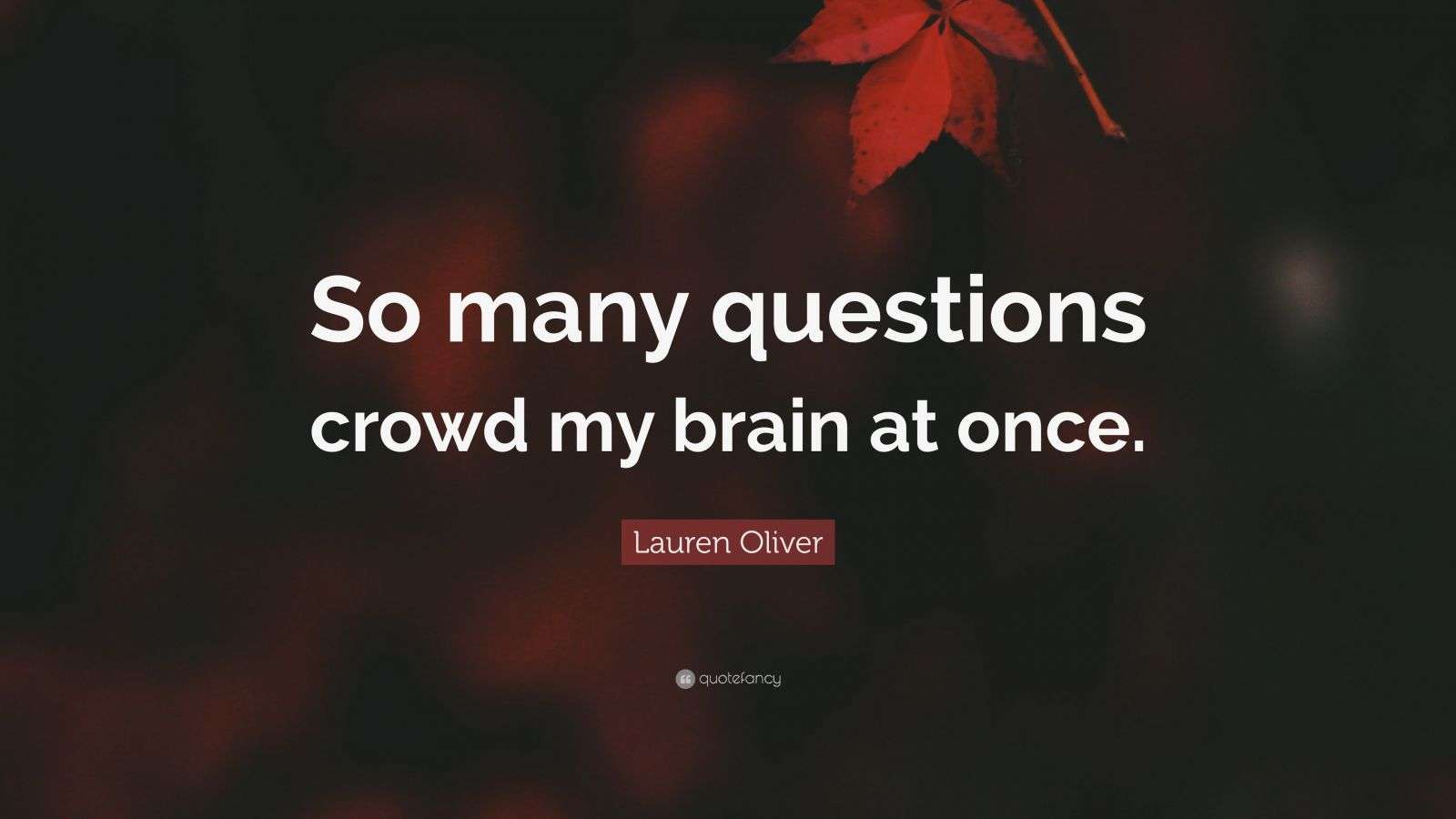 Lauren Oliver Quote: “So many questions crowd my brain at once.”