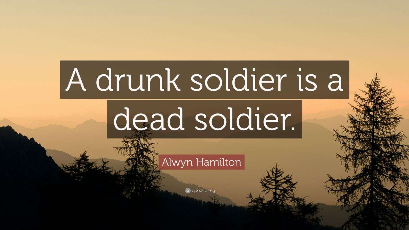 Alwyn Hamilton Quote: “A drunk soldier is a dead soldier.”