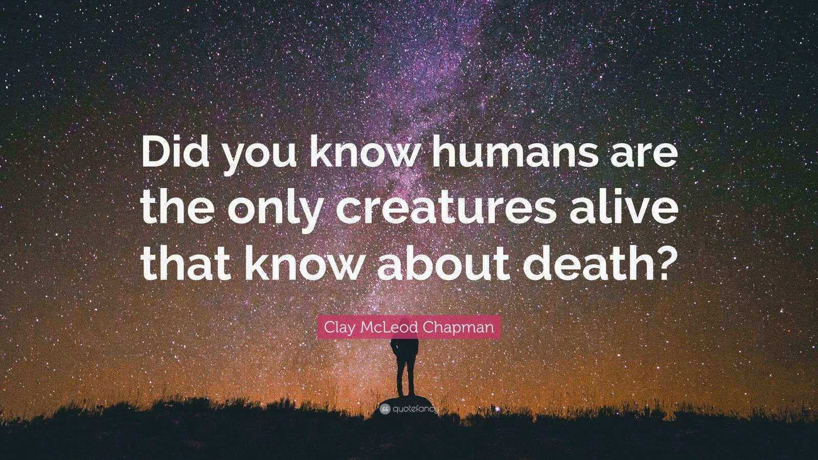 Clay McLeod Chapman Quote: “Did you know humans are the only creatures ...