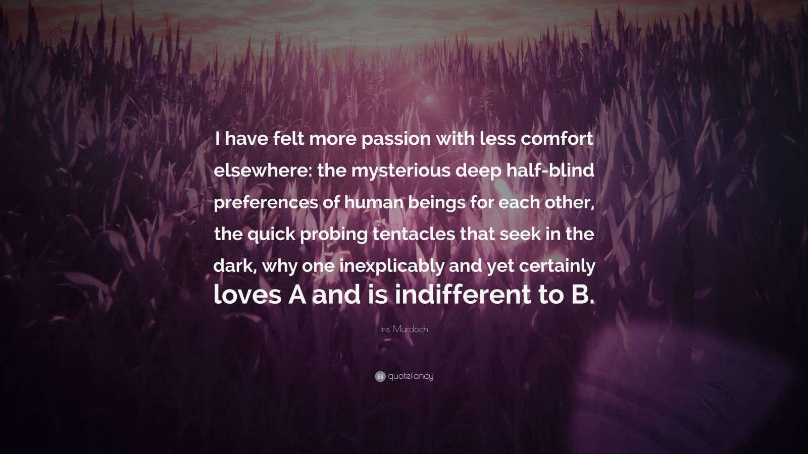 Iris Murdoch Quote: “I have felt more passion with less comfort ...