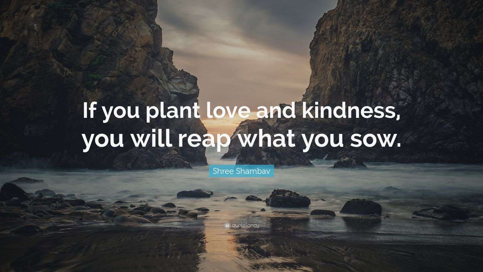 Shree Shambav Quote: “If you plant love and kindness, you will reap ...